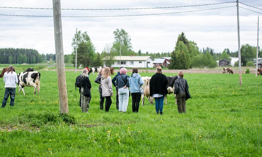 Toiminta - MTK-Pohjois-Suomi - MTK